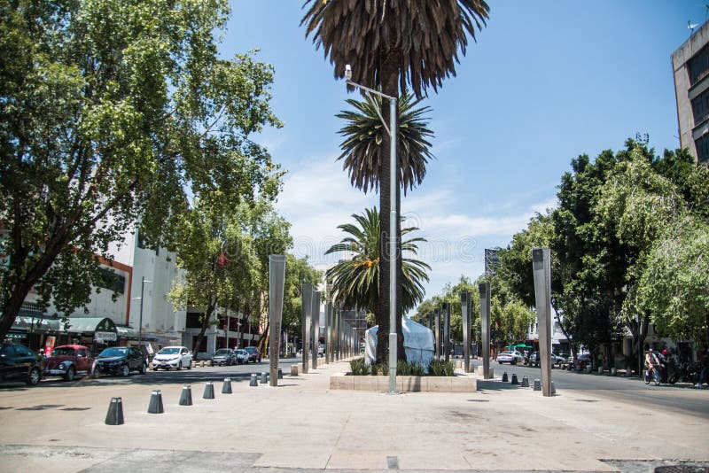 Plam trees in Mexico City editorial stock photo. Image of mexico ...