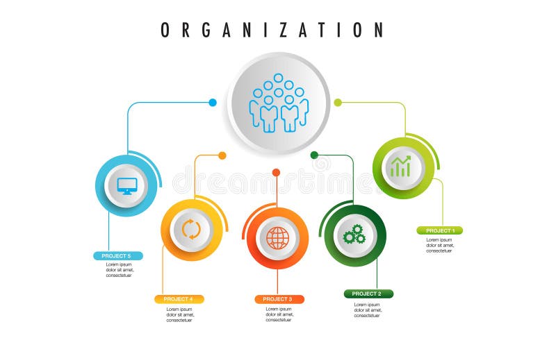 5 Plan Organize Infographic Business Stock Vector - Illustration of ...