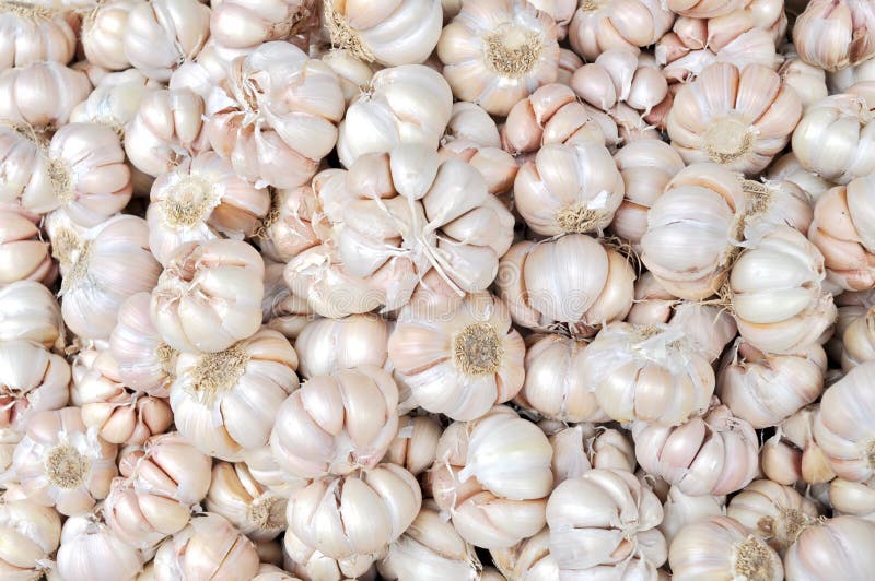 Plan rapproché d'ail image stock. Image du mémoire, repas - 18698835