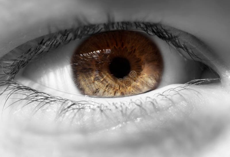 Oeil humain grand ouvert image stock. Image du eyeball - 31368991
