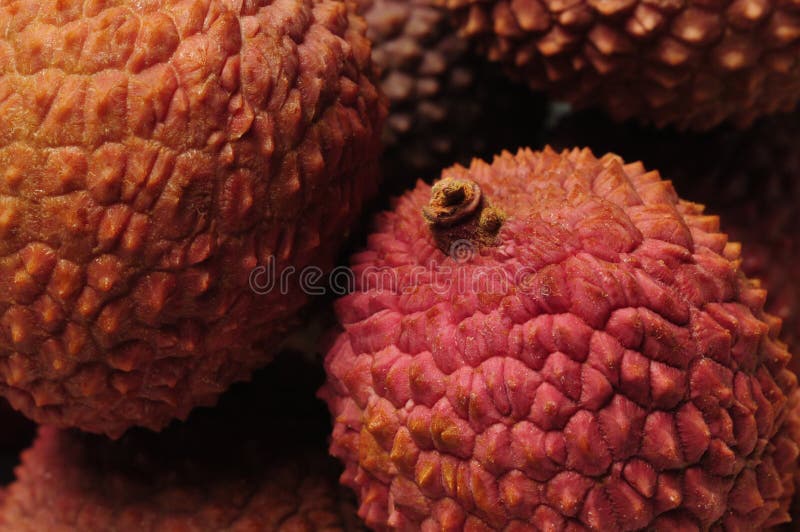 Fruit Chinois Exotique Frais De Lychee Photo stock - Image du ...