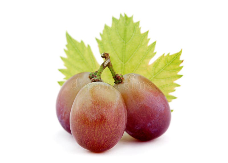 Fruit violet de raisin photo stock. Image du groupe, dessert - 44141766