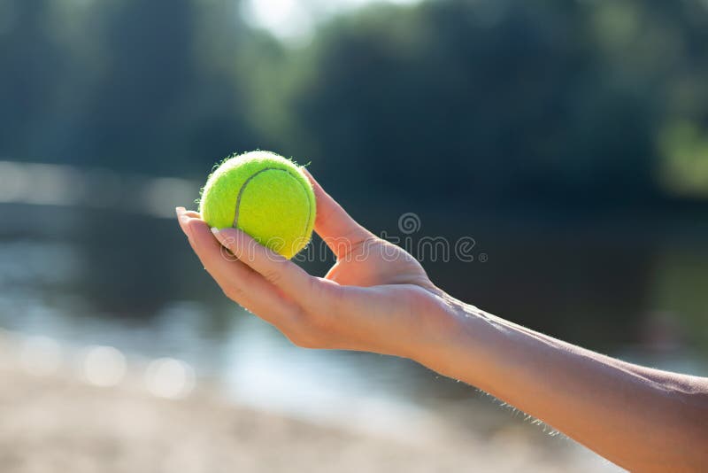 Photos de Main De Femme Tenant La Balle De Tennis - Photos de stock ... Photos de Main De Femme Tenant La Balle De Tennis - Photos de stock ...