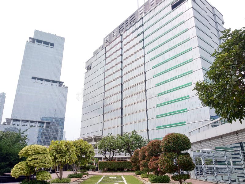 Plan on the Rooftop Building Bush Plant Green Stock Photo - Image of ...