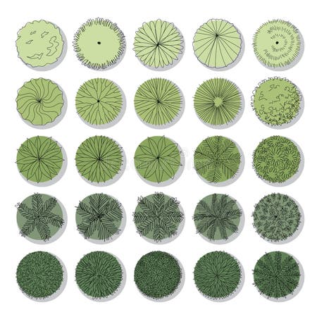 Plan View Tree for Landscape Stock Vector - Illustration of hand ...