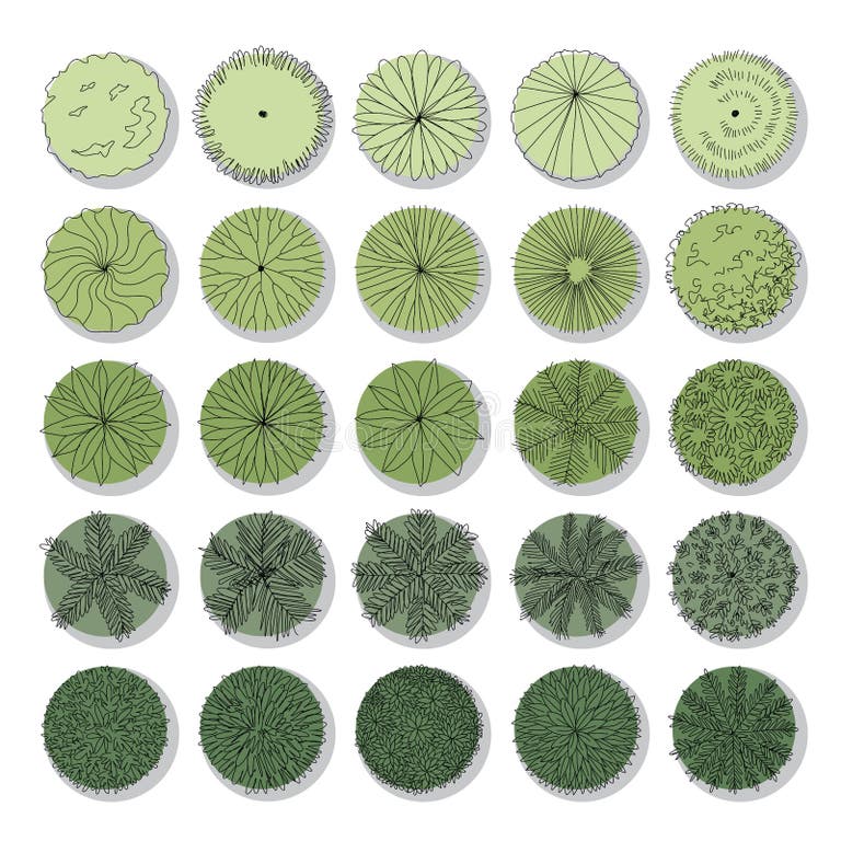 Plan View Tree for Landscape Stock Vector - Illustration of hand ...