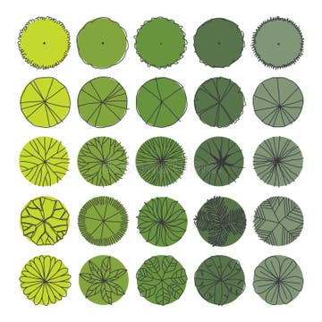 Plan View Tree for Landscape Stock Vector - Illustration of circle ...