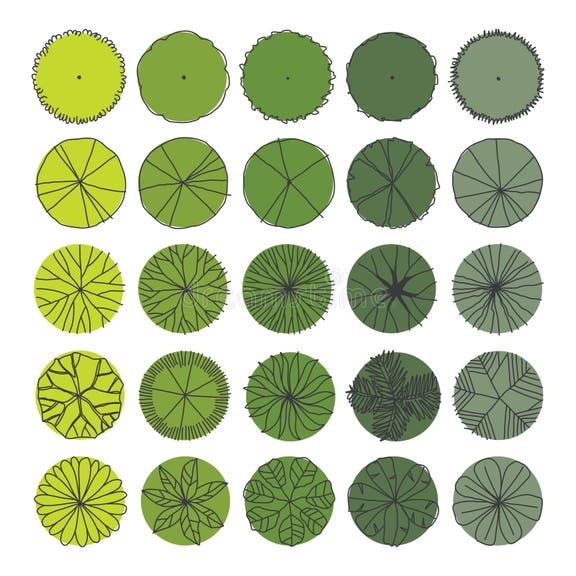 Plan View Tree for Landscape Stock Vector - Illustration of circle ...