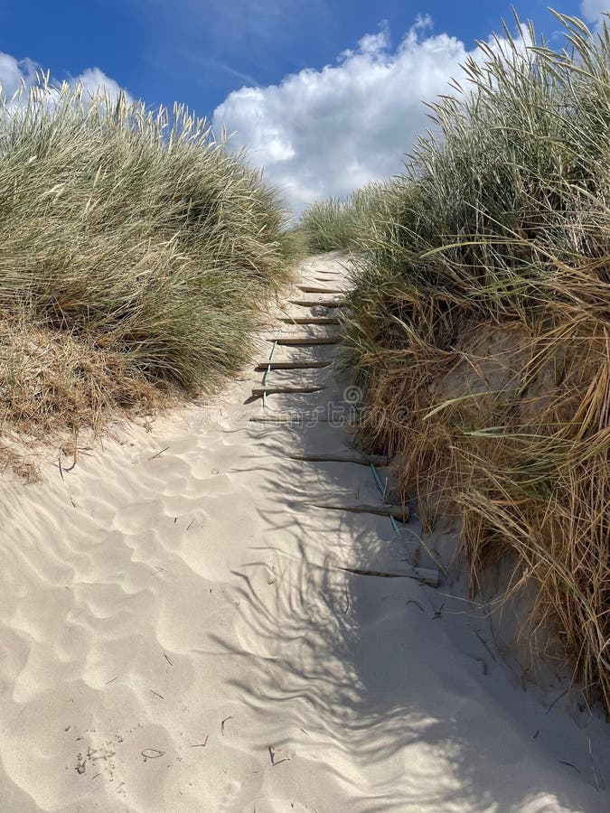 Plan Vertical D'un Chemin De Sable Photo stock - Image du côte ...