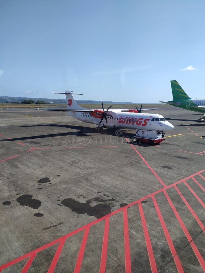 Plane Alone Big Natural Wing Editorial Stock Photo - Image of natural ...