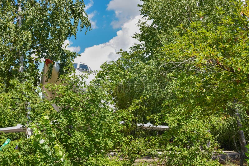 Plane in the Branches of a Tree, Plane in the Forest Stock Photo ...