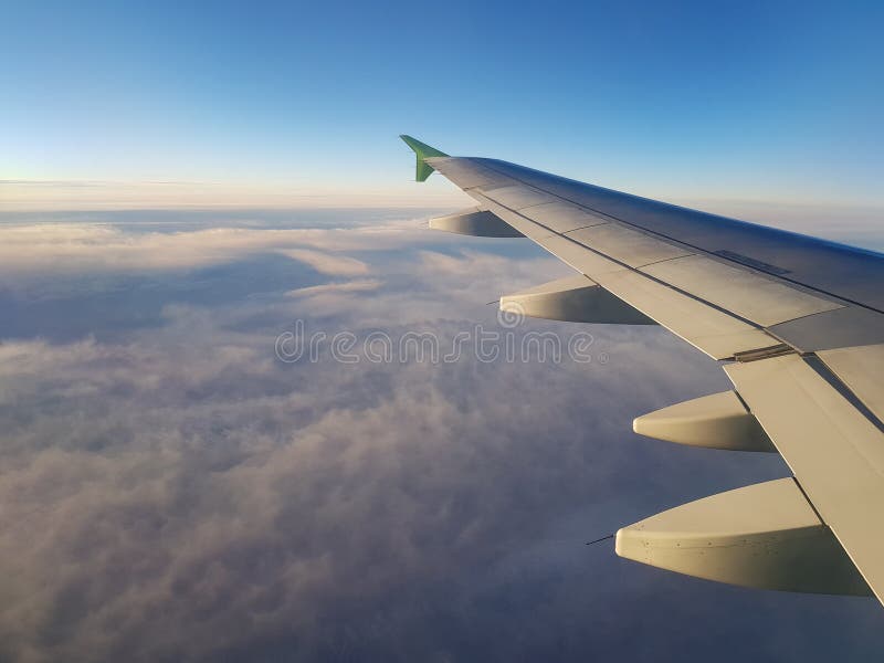 The Plane Flies in the Blue Sky Stock Photo - Image of blue, plane ...