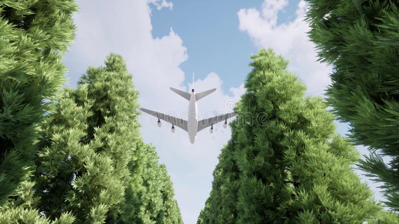 Plane Flies Over Tree Cloudy Sky Resort Rest Big Trees 3d Stock ...