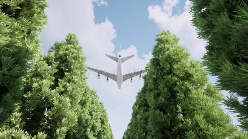 Plane Flies Over Tree Cloudy Sky Resort Rest Big Trees Stock Video ...