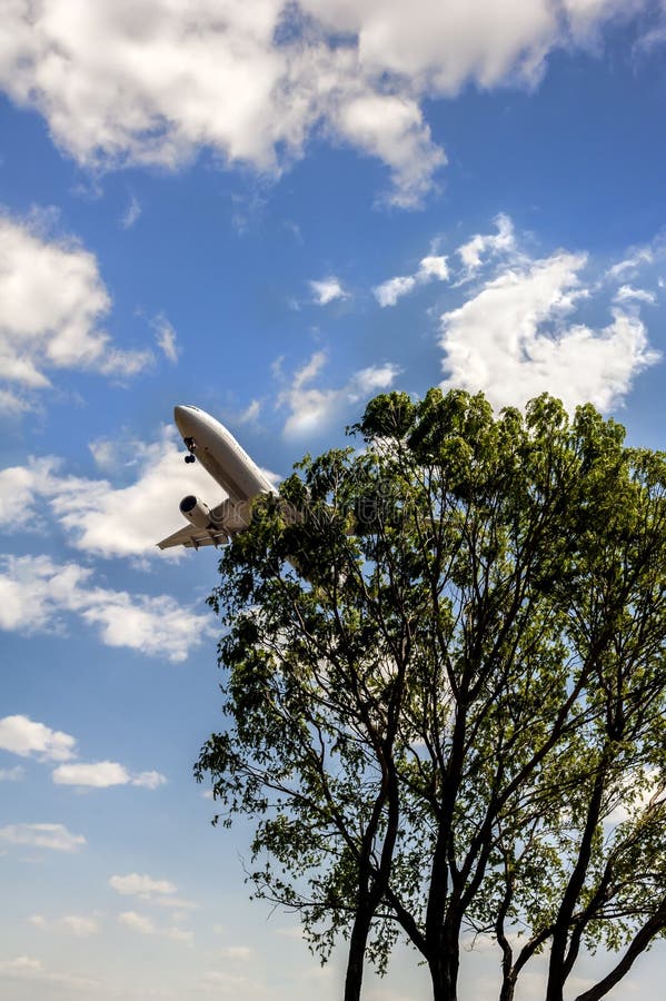 A plane fly over the tree stock image. Image of environment - 32757963