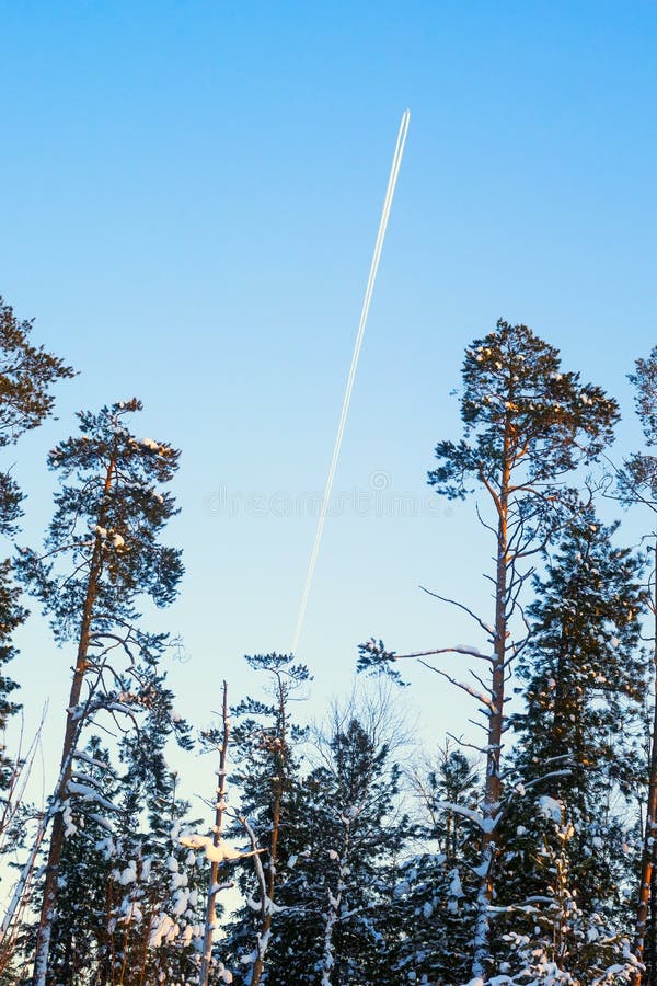 Plane Flying High in the Sky Over Winter Forest. Stock Image - Image of ...
