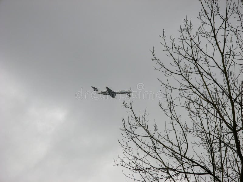 Plane Flying Over Autumn Tree with Space for Text. Stock Photo - Image ...