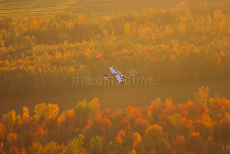 Plane flying over a forest editorial stock photo. Image of fall - 88675528