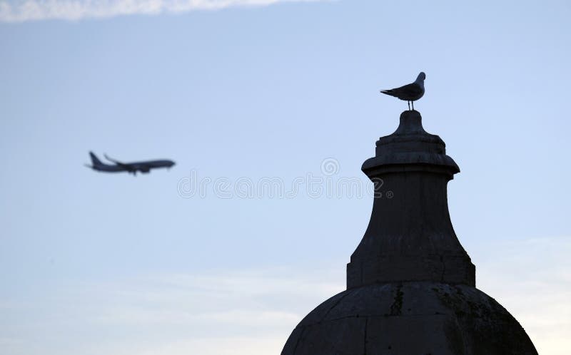 Plane Flying Past a Rooftop with a Seagul Stock Image - Image of wings ...