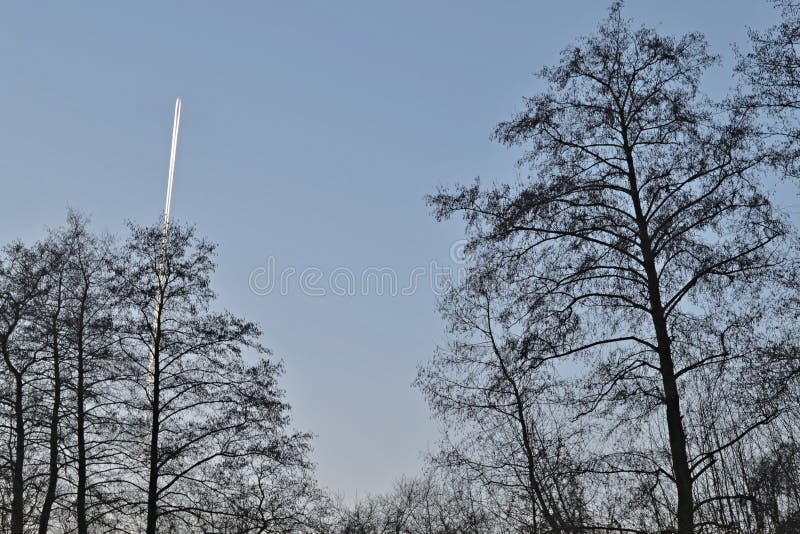 Plane with Trail - Contrail on the Blue Sky between Dark Trees in ...