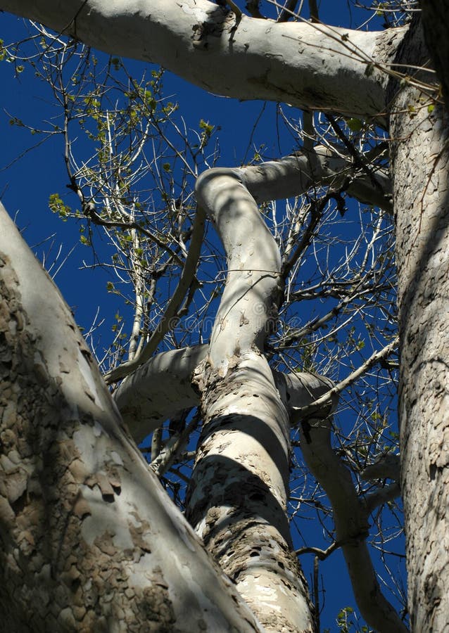 Stock Photos and Royalty-Free Images by Dreamstime