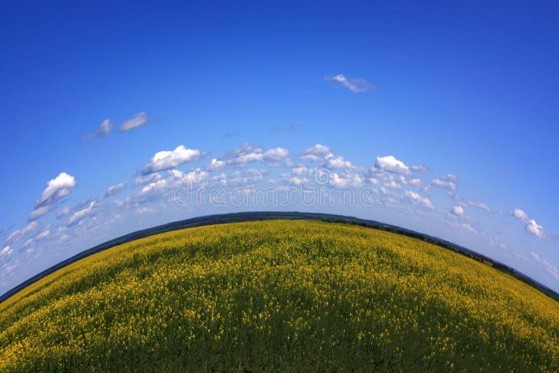 Planet stock photo. Image of grass, flower, partly, world - 13523888