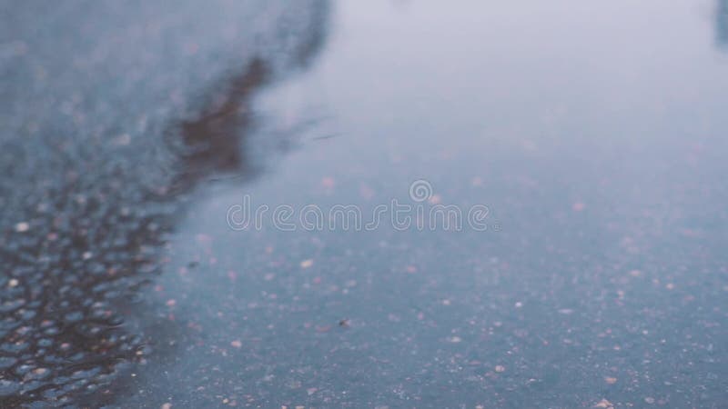 Planet Earth Beautiful Falls into a Muddy Puddle. Concept on ...