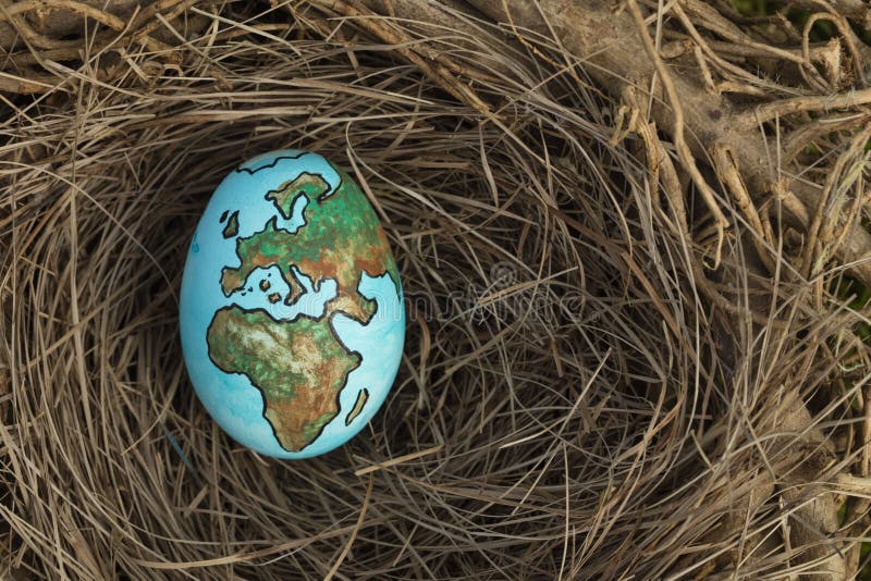 Earth Nest Hatching stock photo. Image of european, africa - 855904