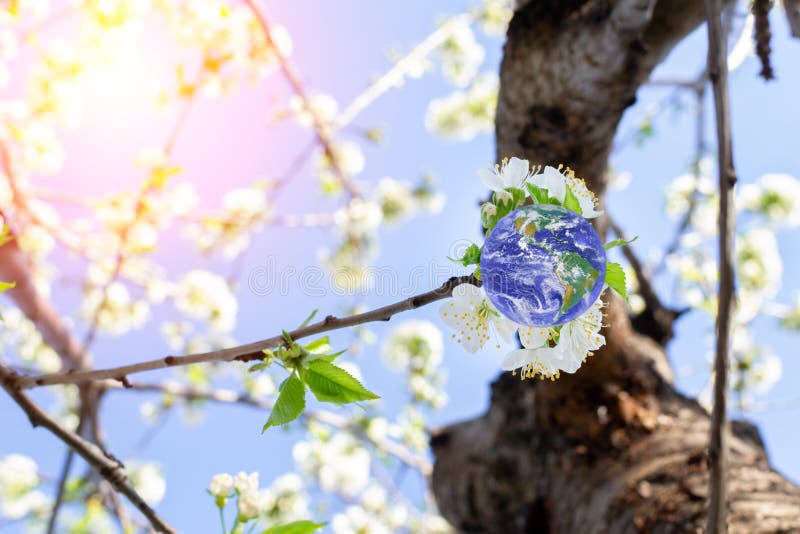 Planet Earth, Save Earth. Environment Concept, Ecosystem and Healthy ...