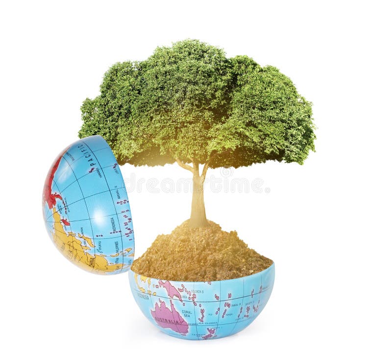 Planet earth and tree stock image. Image of globe, foliage - 44517743
