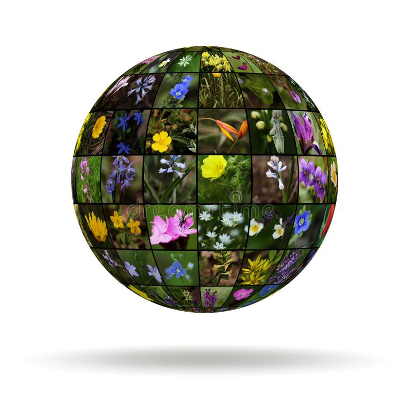 Planet flowers stock illustration. Illustration of botany - 36431112