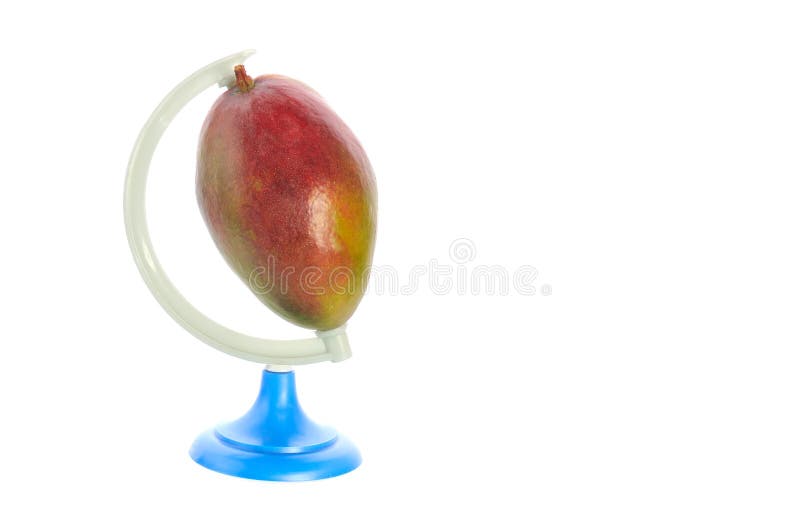 Planet mango stock image. Image of table, isolated, nature - 13342115
