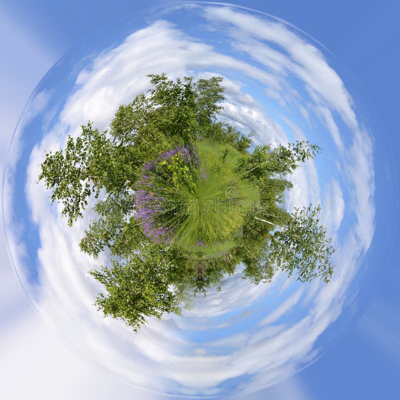 Planet Summer with Birch Trees and Flowers. Blue Sky in Clouds Stock ...