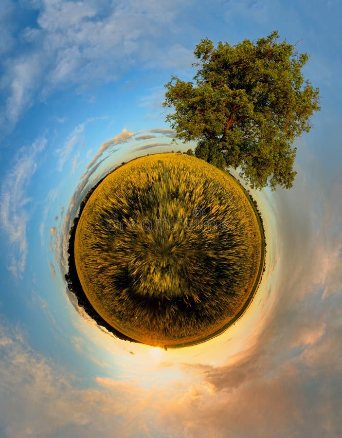 Planet with tree at sunset stock image. Image of planet - 19986817