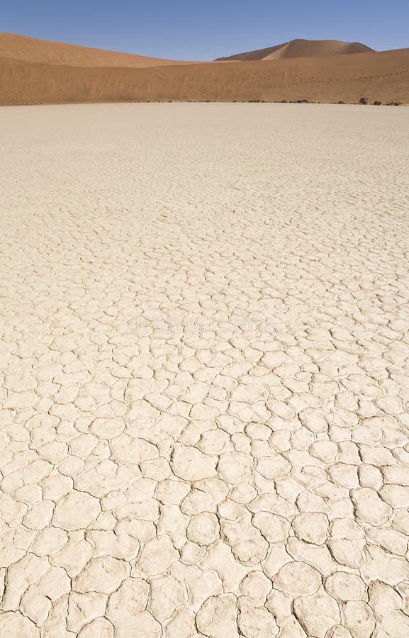 Planeta seco imagem de stock. Imagem de seco, parque - 14225525