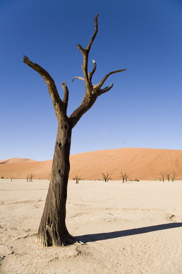 Planeta seco foto de stock. Imagem de exterior, vertical - 2068530