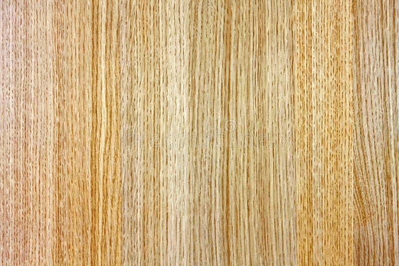 Plank Board Picture. Image: 5700515