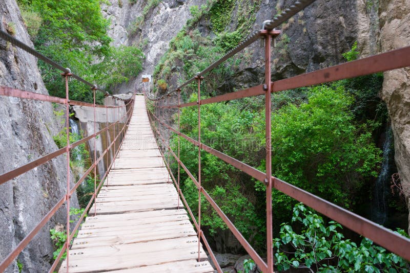 Plank bridge stock photo. Image of planks, footbridge - 95394160