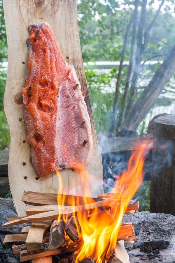 Plank cooked salmon stock image. Image of salted, campfire - 56689195