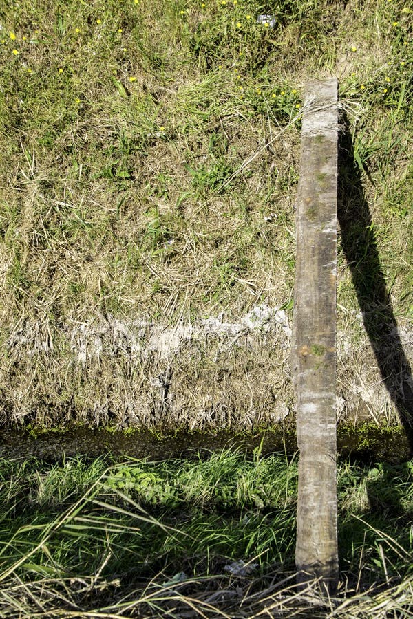 Plank Crossing stock photo. Image of risk, river, side - 158877248