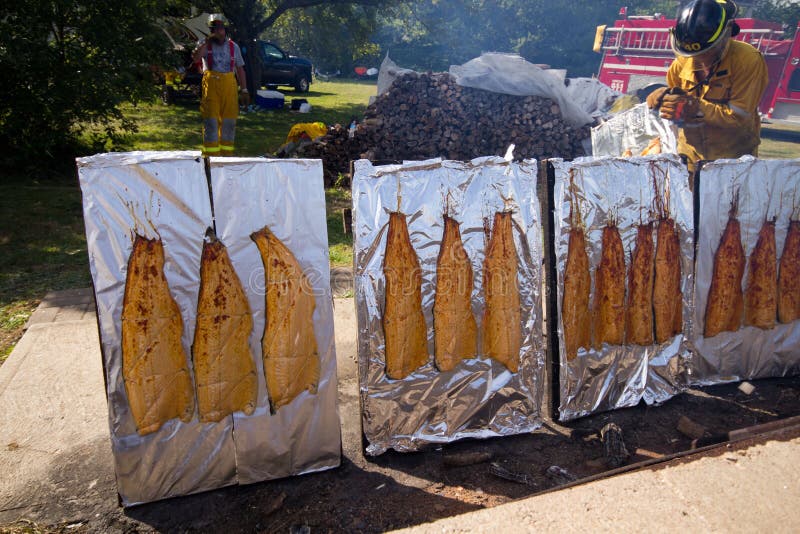 Plank Salmon Cooking Over Open Fire Editorial Stock Photo - Image of ...