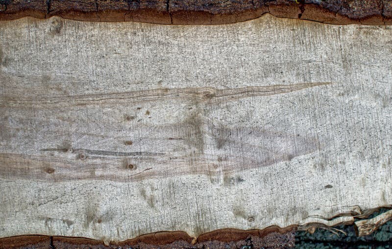 Natural plank texture stock photo. Image of knots, background - 246573518