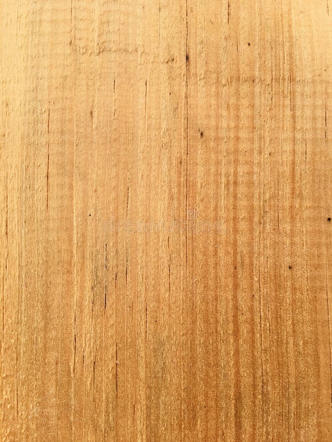 Plank stock image. Image of trees, pine, wooden, board - 223484577