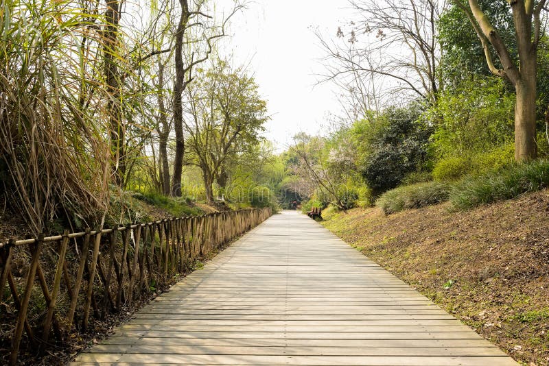 Planked Footway in Plants of Verdant Spring Stock Image - Image of ...