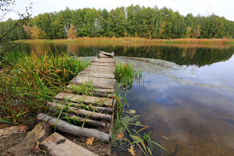 Planked footway stock photo. Image of cane, lake, freedom - 34432600