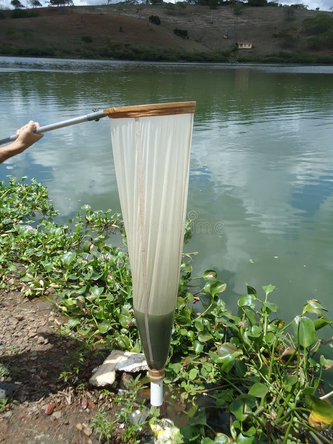 119 Plankton Net Stock Photos - Free & Royalty-Free Stock Photos from ...