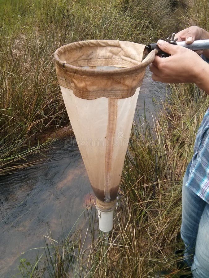 Plankton Sampling Stock Photos - Free & Royalty-Free Stock Photos from ...