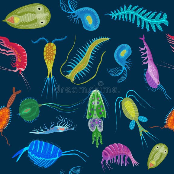Plankton Pattern. Underwater Life Microelements Microcell Stock Vector ...