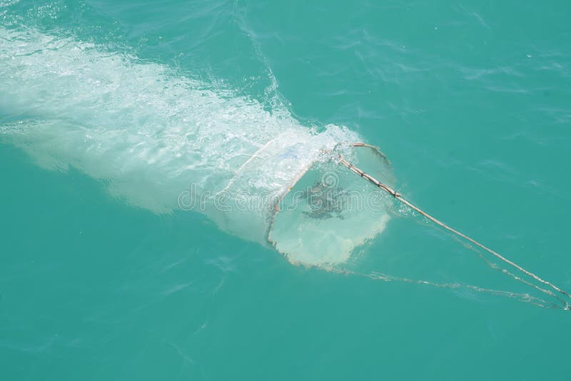 Plankton sampling collect stock photo. Image of science - 95223084