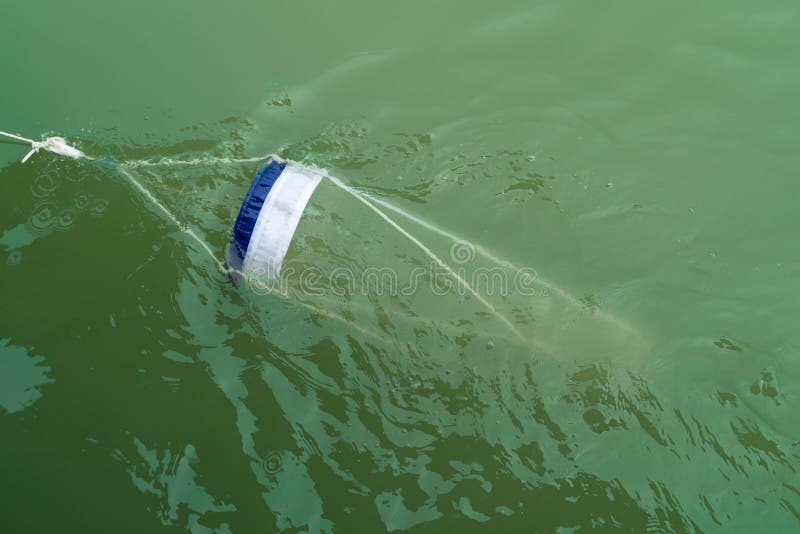 139 Plankton Culture Laboratory Stock Photos - Free & Royalty-Free ...